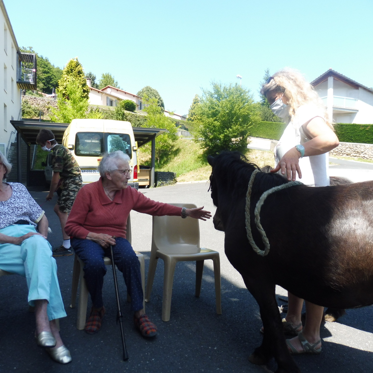 La visite des poneys de la ferme de Beaulieu…. – EHPAD MARIE GOY